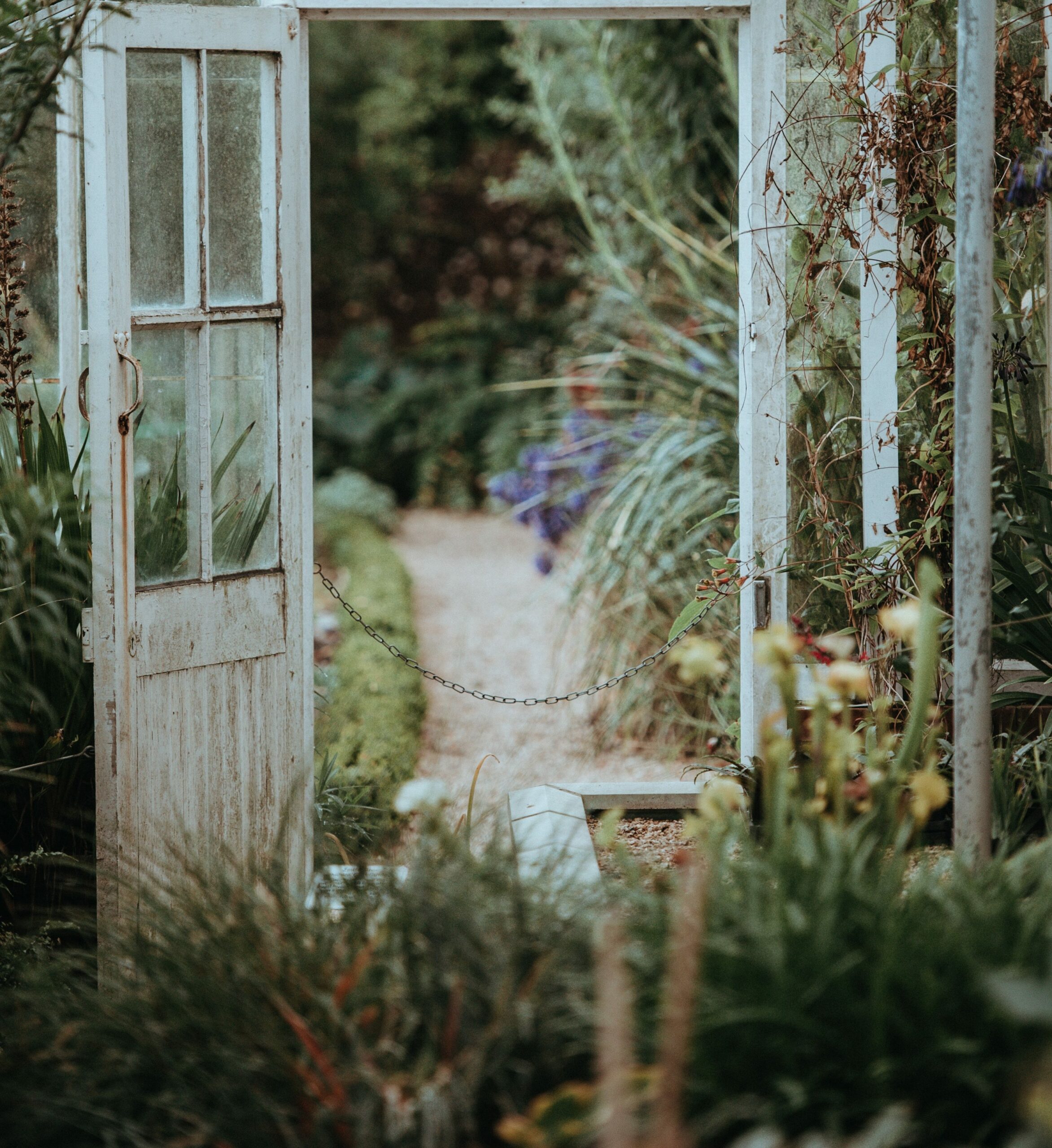 annie-spratt-372276-unsplash | Biocase